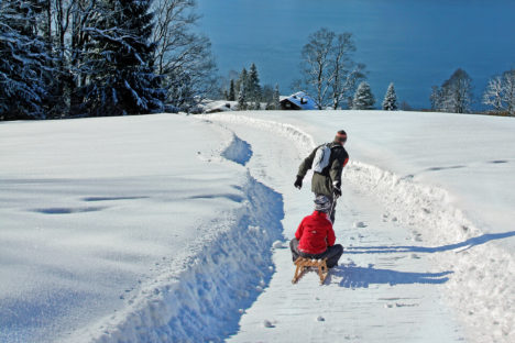 Alps toboggan run: The most beautiful toboggan runs for sledging