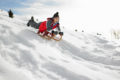 Alps toboggan run: The most beautiful toboggan runs for sledging